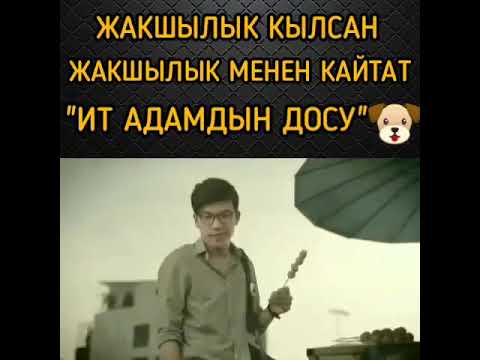Ит адамдын досу 🐕👤