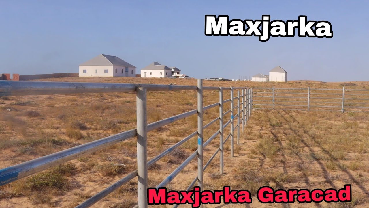 Maxjarka Xoolaha Ee Garacad ayaa La dhameeyey Xiryihii Xoolaha lagu ...
