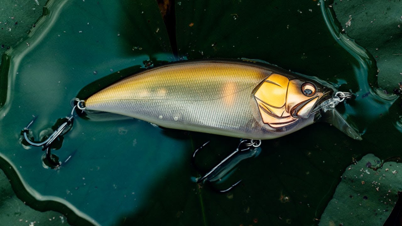 Megabass Big M 2.0 Crankbait - YouTube