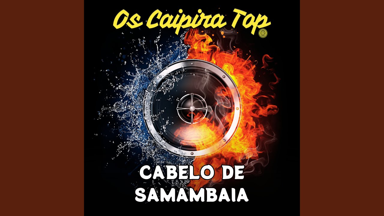 Cabelo de Samambaia (Remix) - YouTube