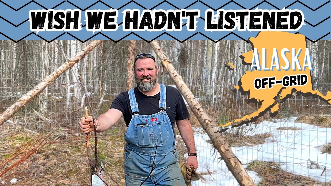 HOMESTEAD ADVICE gone WRONG | FIRST GARDEN WALK - HOMESTEADING ALASKA ...