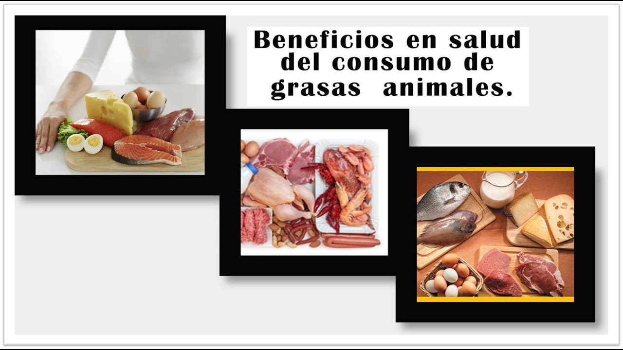 Beneficios en salud del consumo de grasas animales. - YouTube