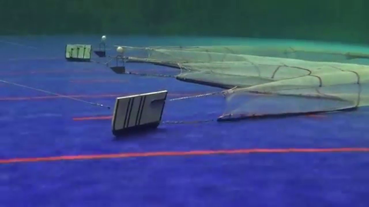 triple sole rig trawling - YouTube