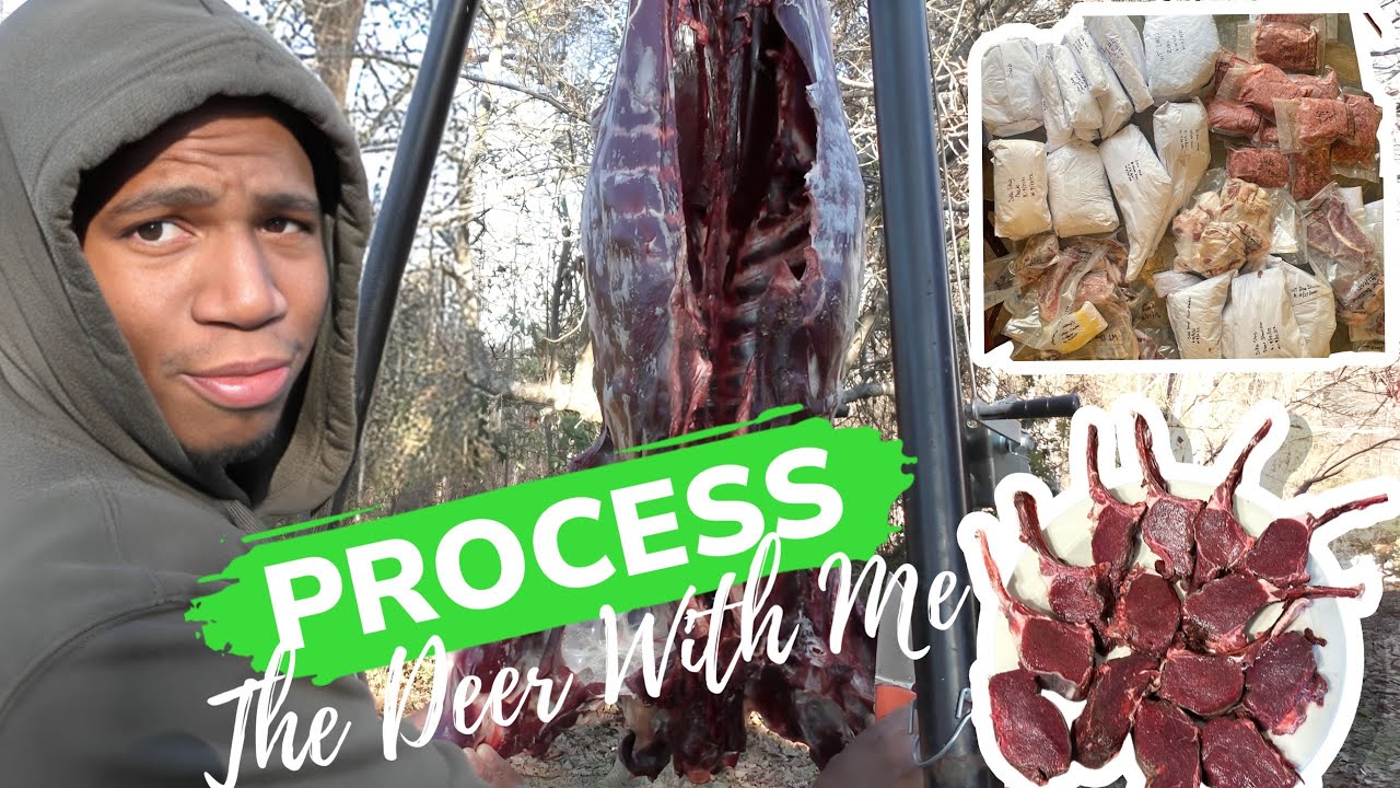 (Part.2) Deer CLEAN AND COOK | Quick Breakdown + Tips and Ideas - YouTube