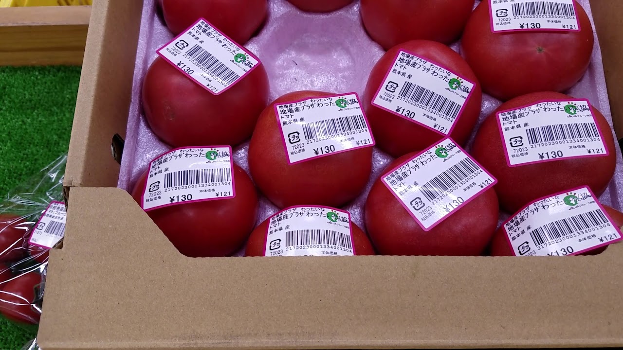 Some special Tomatoes in Tottori, Japan ! - YouTube