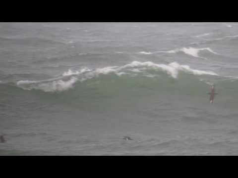 Great Skuas, Cley - 05.11.16