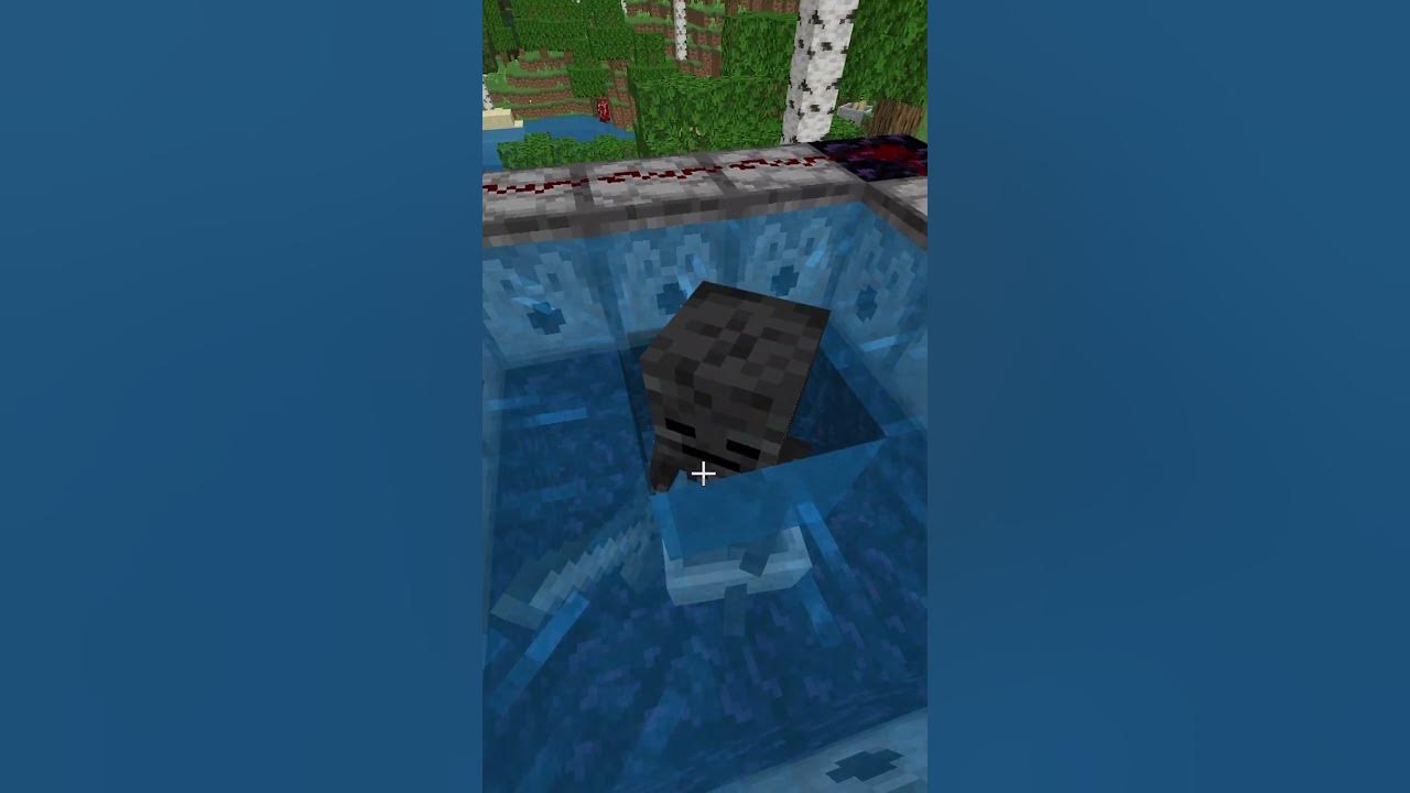 Prank Over A Wither Skeleton In Minecraft Shorts Minecraft Meme Memes Youtube
