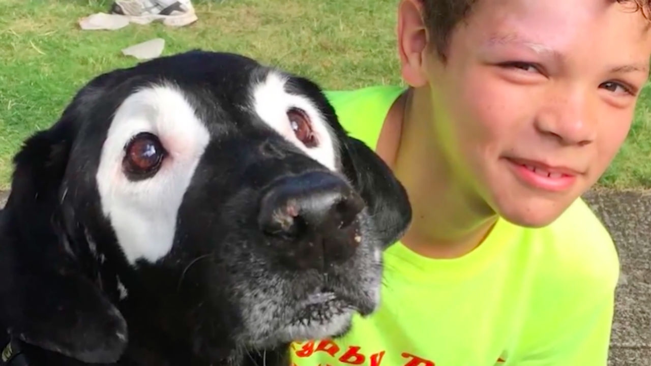 Meet White Eyed Rowdy | DOGS YOU SHOULD KNOW ABOUT - YouTube