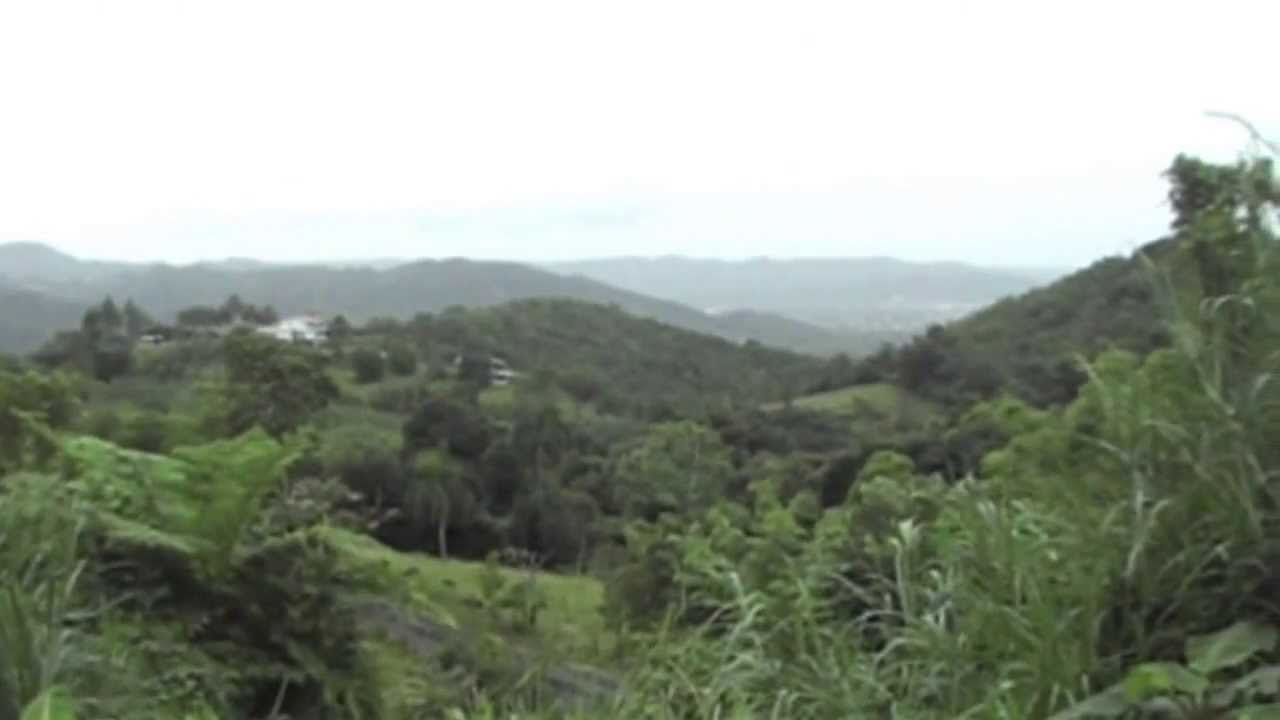 Puerto Rico Mountain View - YouTube