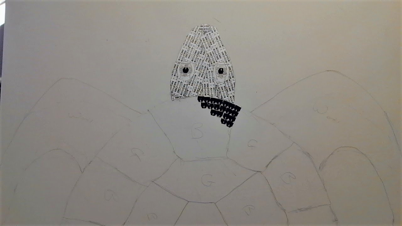 Turtle Collage Short Intro - YouTube