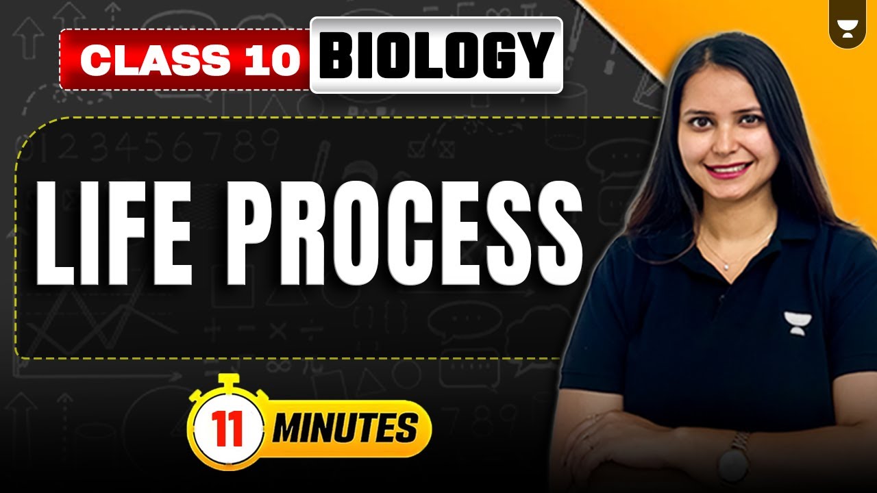 Life Process One Shot | CBSE Class 10 Biology | Kajal Mam - YouTube