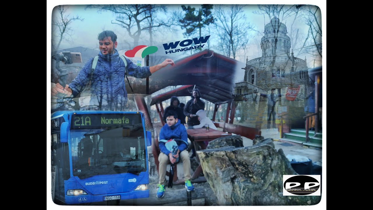 Normafa Park & Elizabeth Lookout Tower || none touristy of #Budapest ...