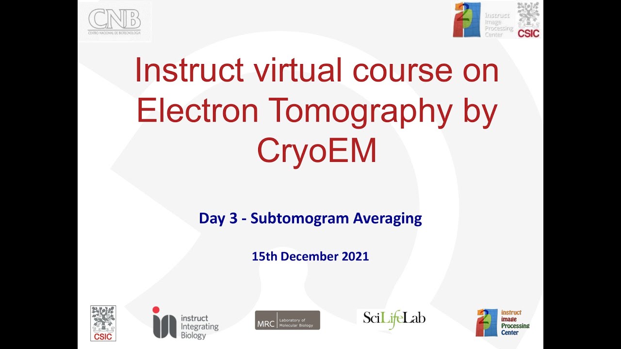 Subtomogram averaging intro. Instruct course on cryo electron ...