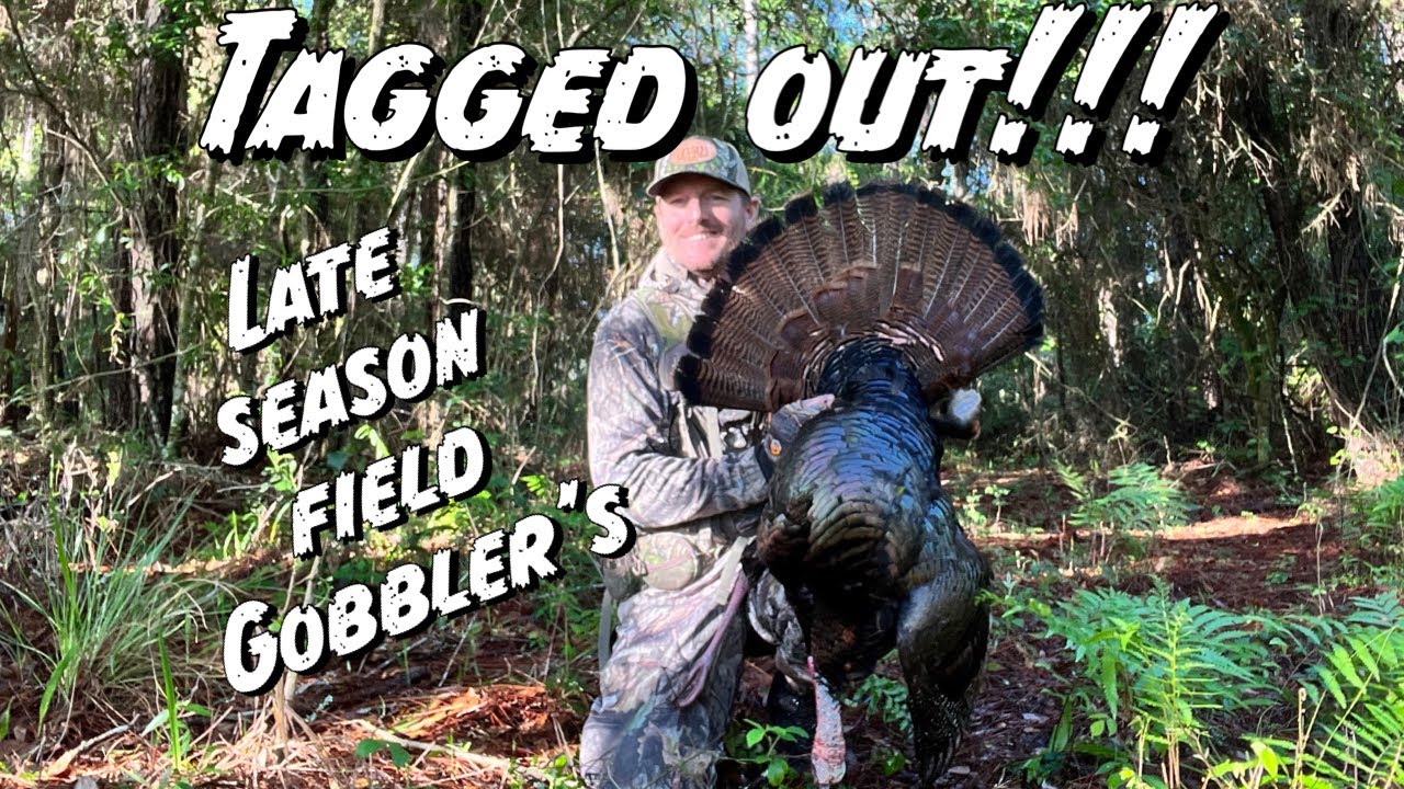 Hunting field turkey’s/Turkey Down!! Spring-Fling 2024 - YouTube