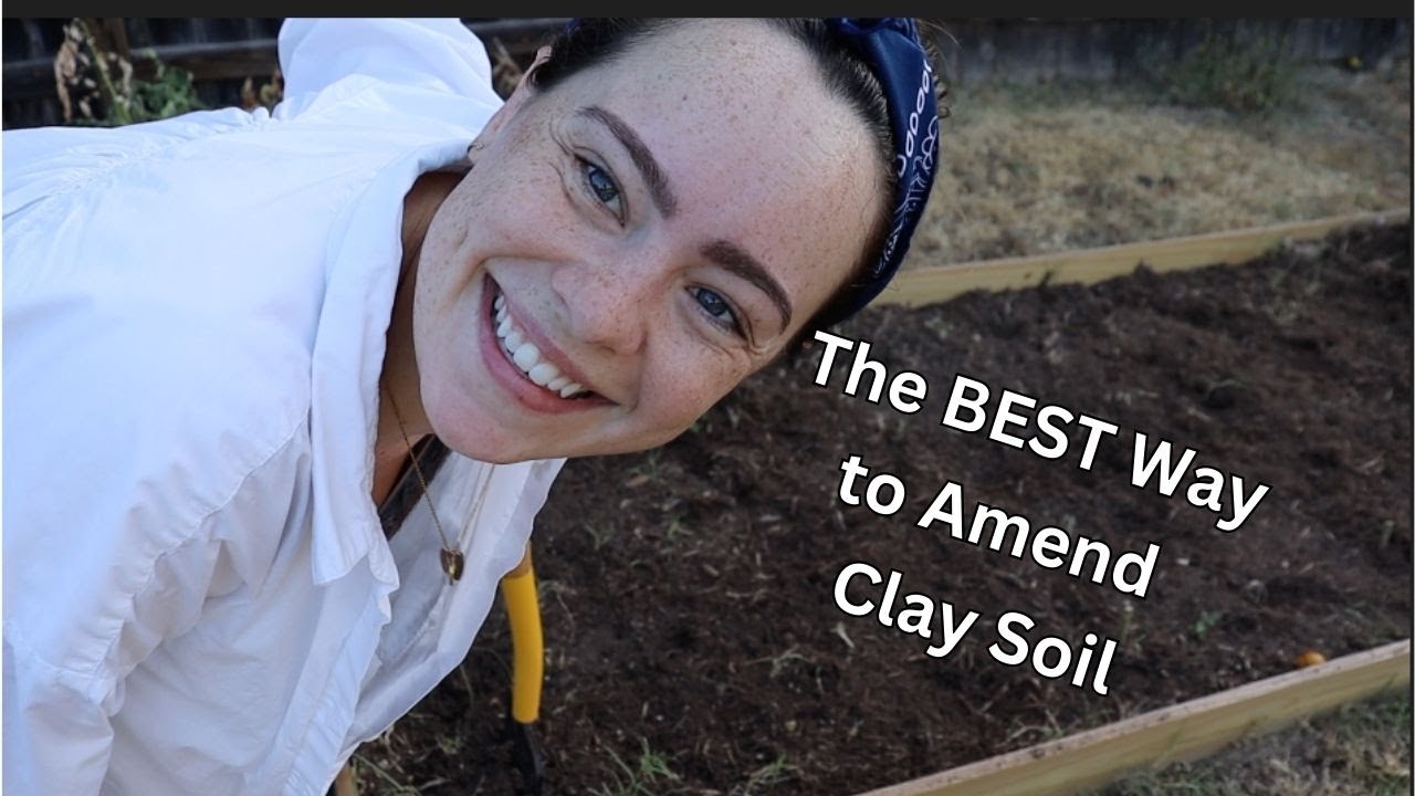 Unlocking the Secrets of Amending Clay Soil for a Thriving Garden | My ...