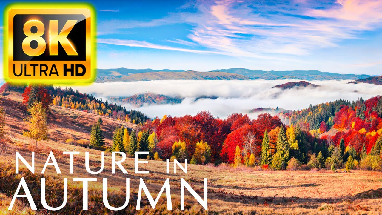 Nature Autumn in 8K ULTRA HD 60FPS - The best place in autumn with ...
