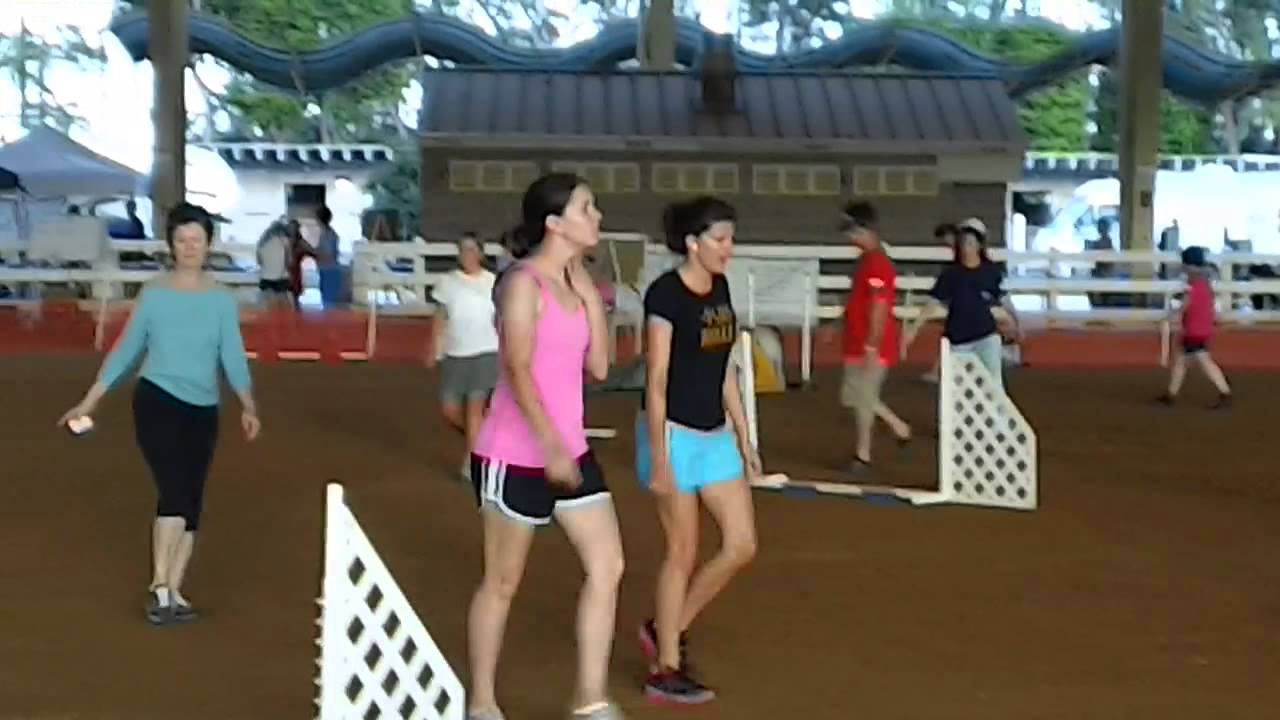 Dog agility humans - YouTube