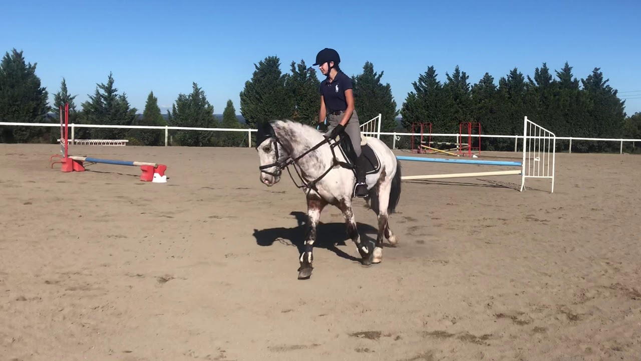 Class 3c. Jumping Equitation Competition with Tasks - YouTube