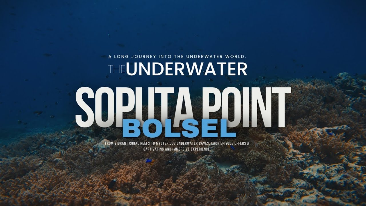 Soputa Point, Bolsel - The Underwater (Documentary) - YouTube