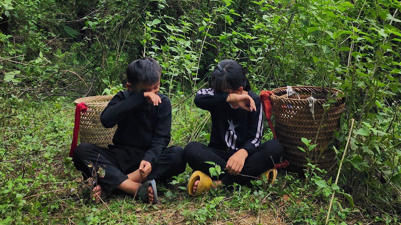 The life of two orphans. The journey of two children to build a new ...