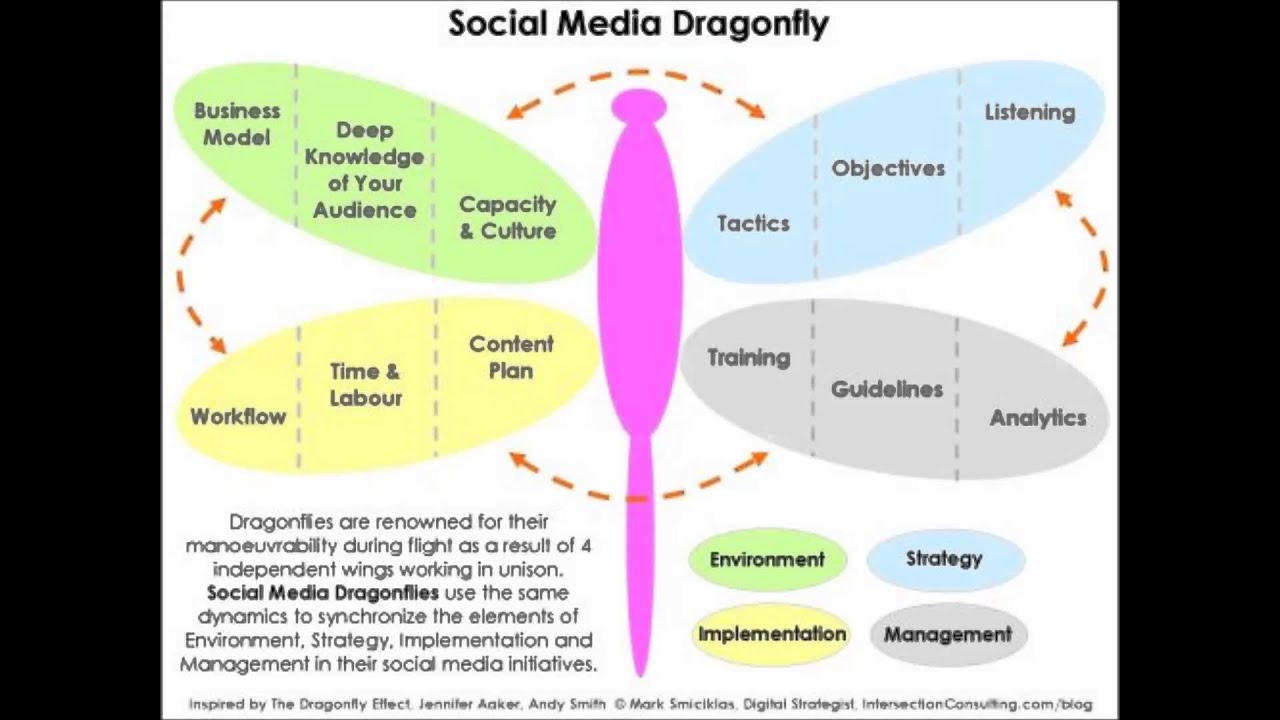 The Dragonfly Effect and Social Media - YouTube