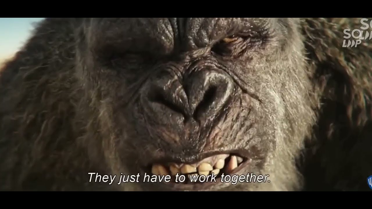 Godzilla X Kong | Kong Breaks Skar king Tooth 🦧🦷 Scene HD # ...