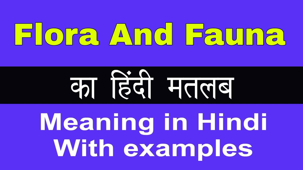 Flora And fauna Meaning In Hindi Flora And Fauna flora-and-fauna-meaning-in-hindi-flora-and-fauna