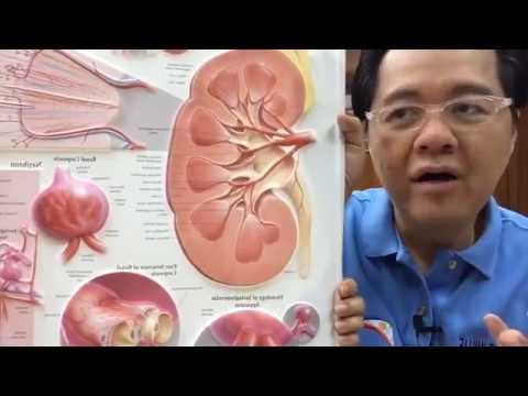 Sakit sa Kidney (Bato) at Puso: Mabisang Lunas - ni Doc Willie at Doc ...