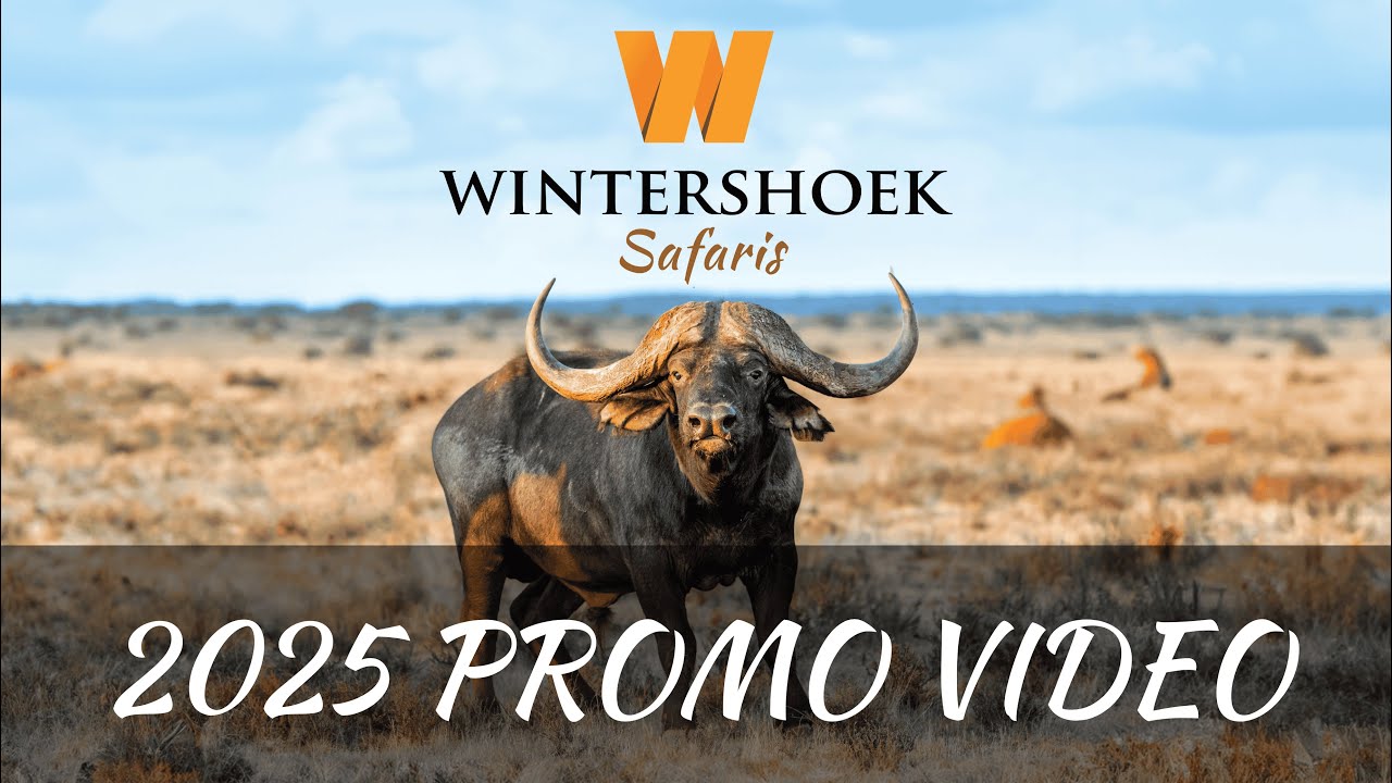 Wintershoek Safaris | 2025 Promo Video - YouTube