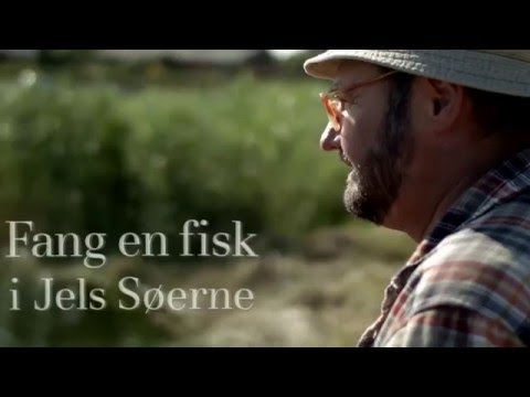Jels -  en naturperle