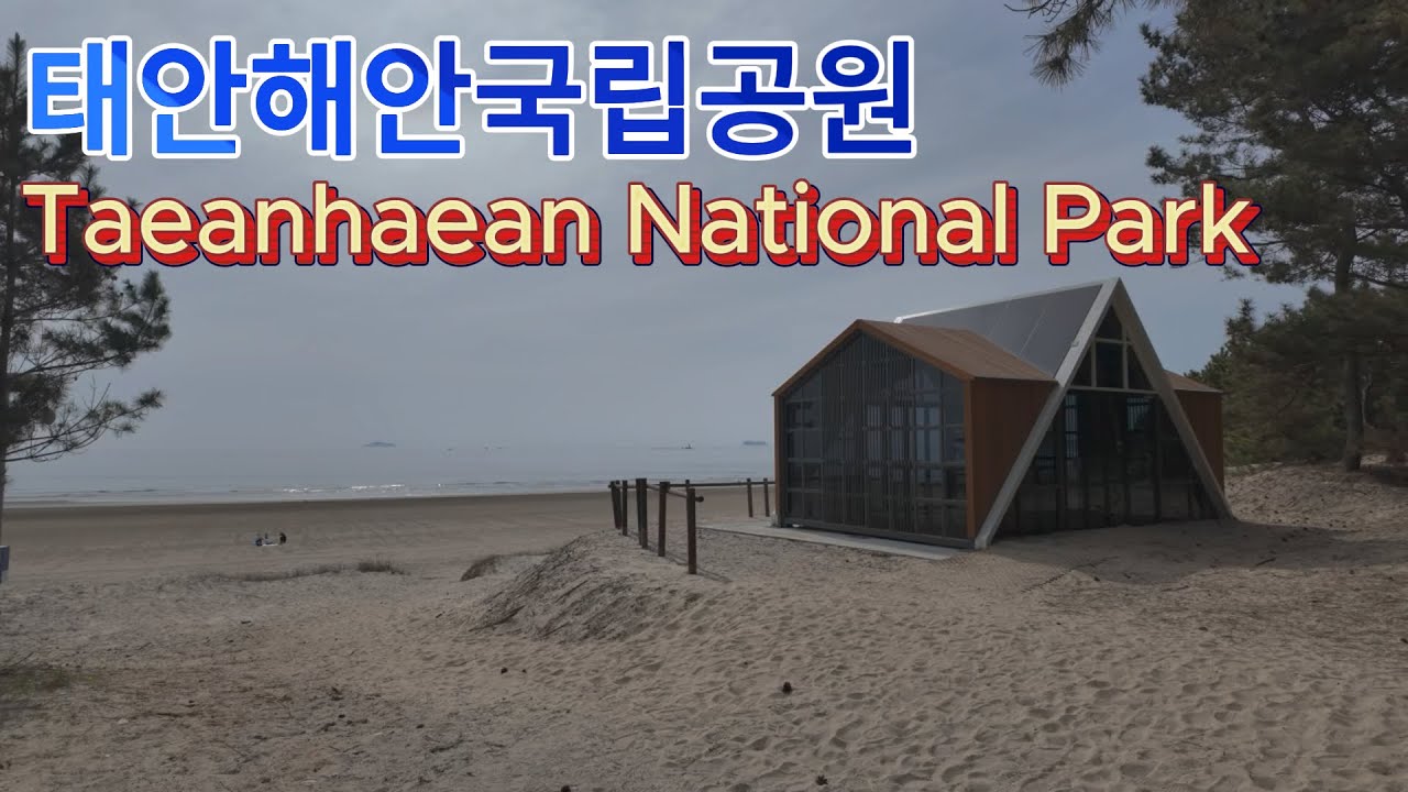 해송이 유명한 태안해안국립공원 해변길 제5코스 Taeanhaean National Park beach paths ...