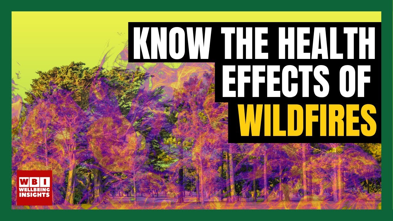 Health Effects of Wildfires in Canada (IMPORTANT!) 🔥💨 - YouTube