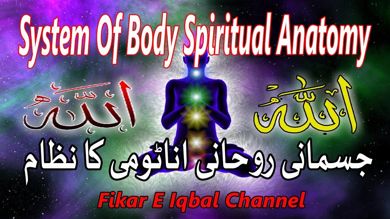 System Of Body Spiritual Anatomy!!! - YouTube