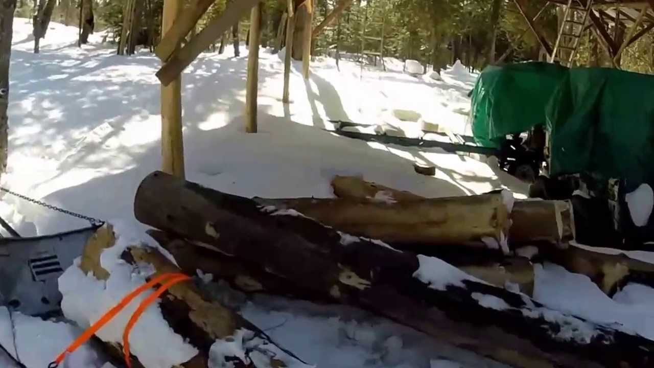 Log Skidding with Snowmobile Part 2 (Big Spruce Log) - YouTube