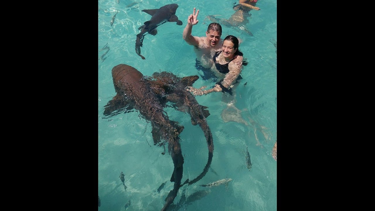 Exuma Escapes Bahamas, Compass Cay, Nassau 2018 - YouTube