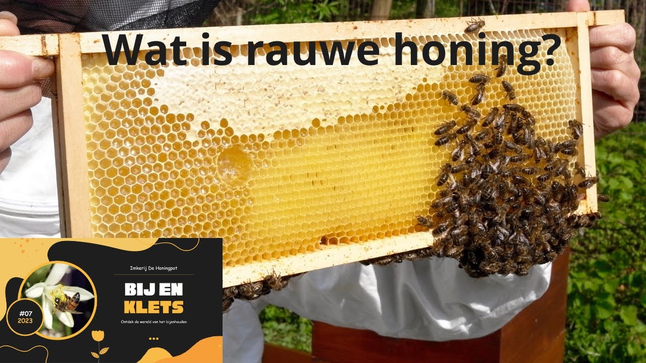 Wat is rauwe honing en waarom maken bijen honing? - YouTube