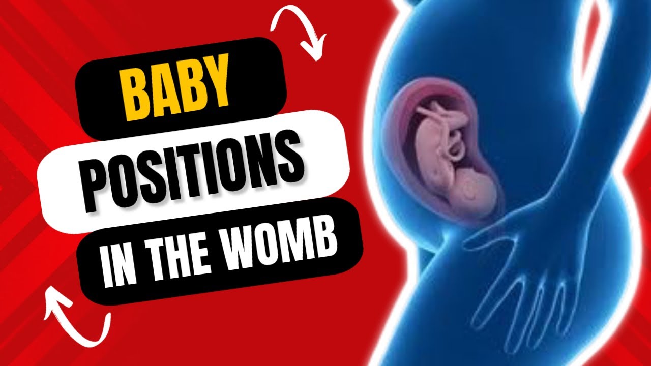 Baby positions in the womb // Cephalic // Breech // Transverse baby ...