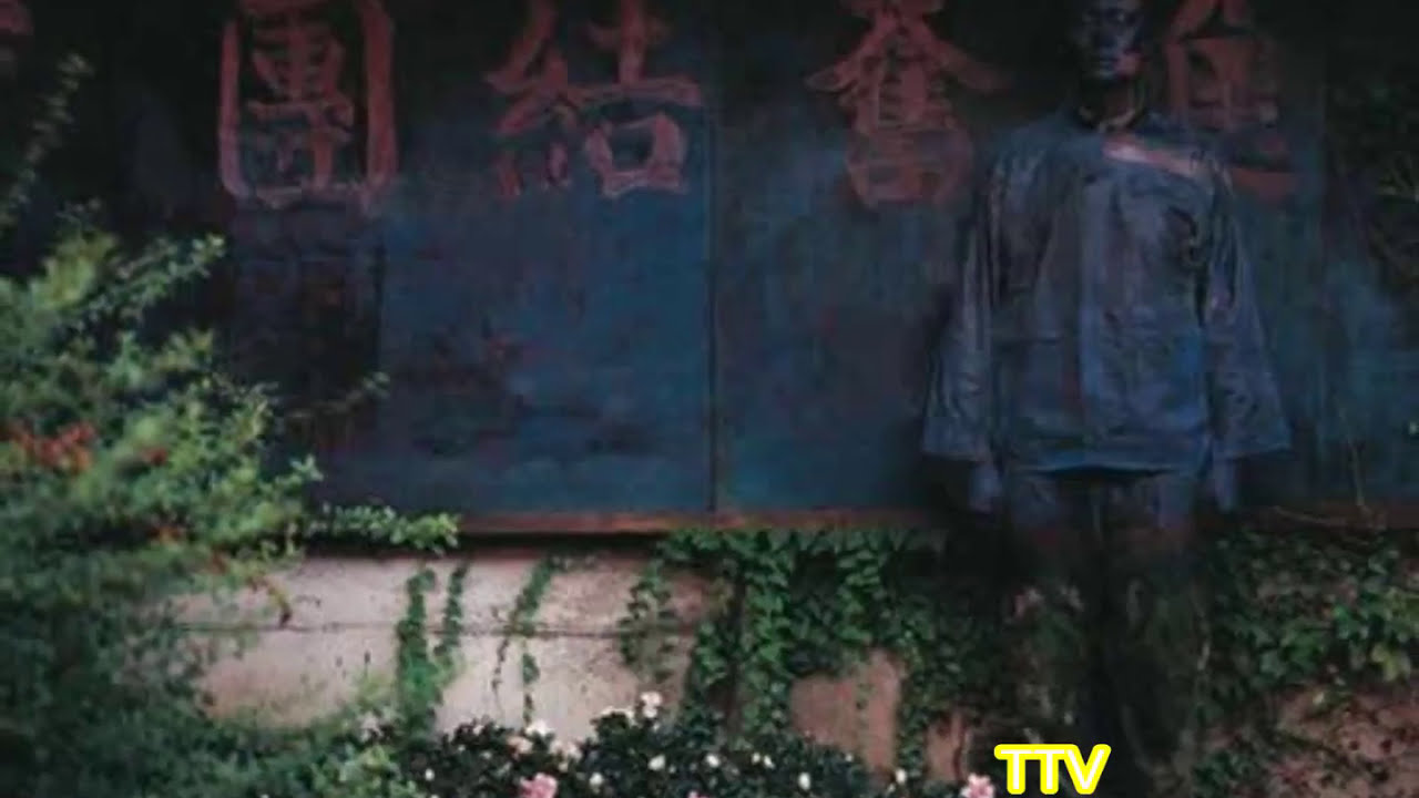 Liu Bolin | The Real Life Invisible Man - YouTube