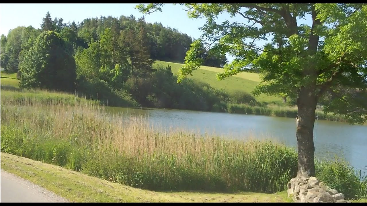 🚐🌏Castle ruin of Kalø - National park of Mols Bjerge - YouTube