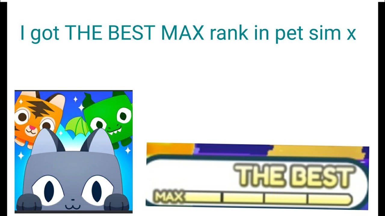 Getting THE BEST MAX rank in pet sim x - YouTube