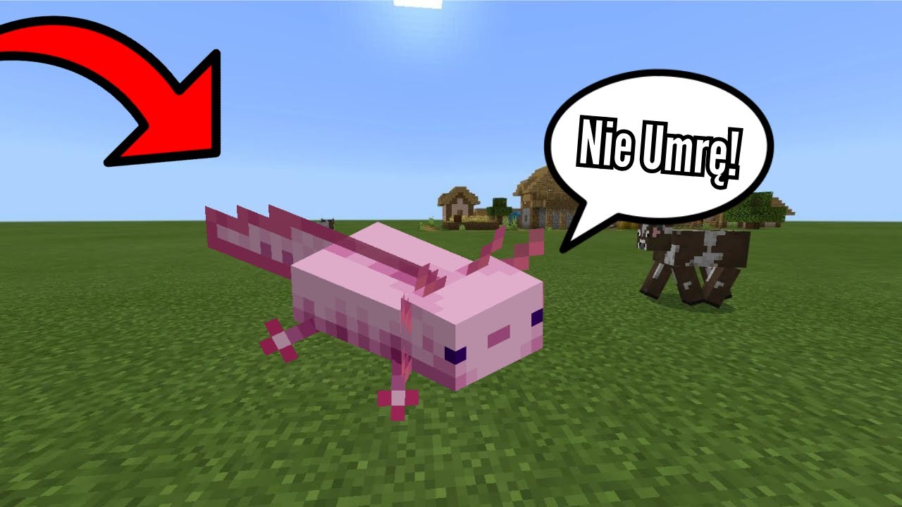 Minecraft To Stan Umysłu - YouTube