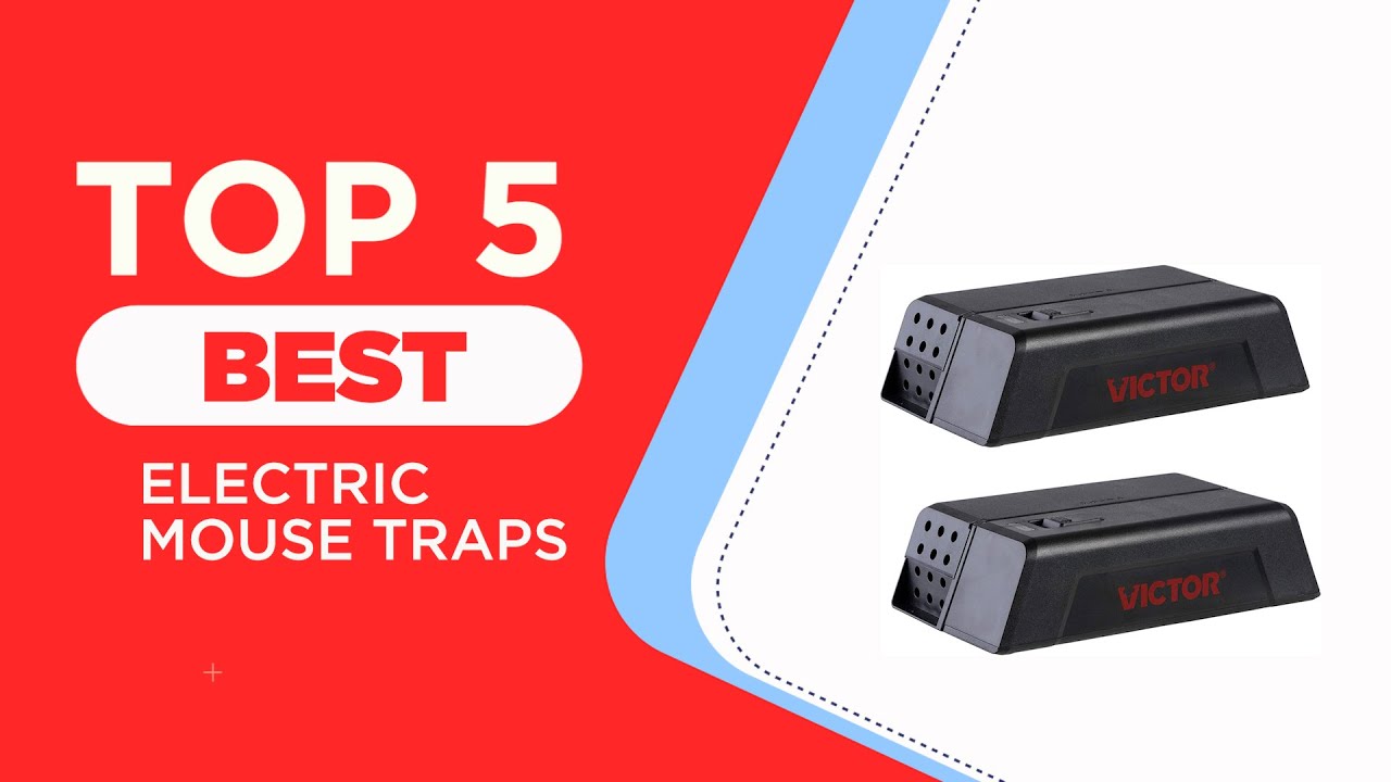 The 5 Best Electric Mouse Traps in 2025 [ Reviewed ] - YouTube