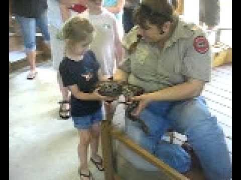 Bald Python - YouTube