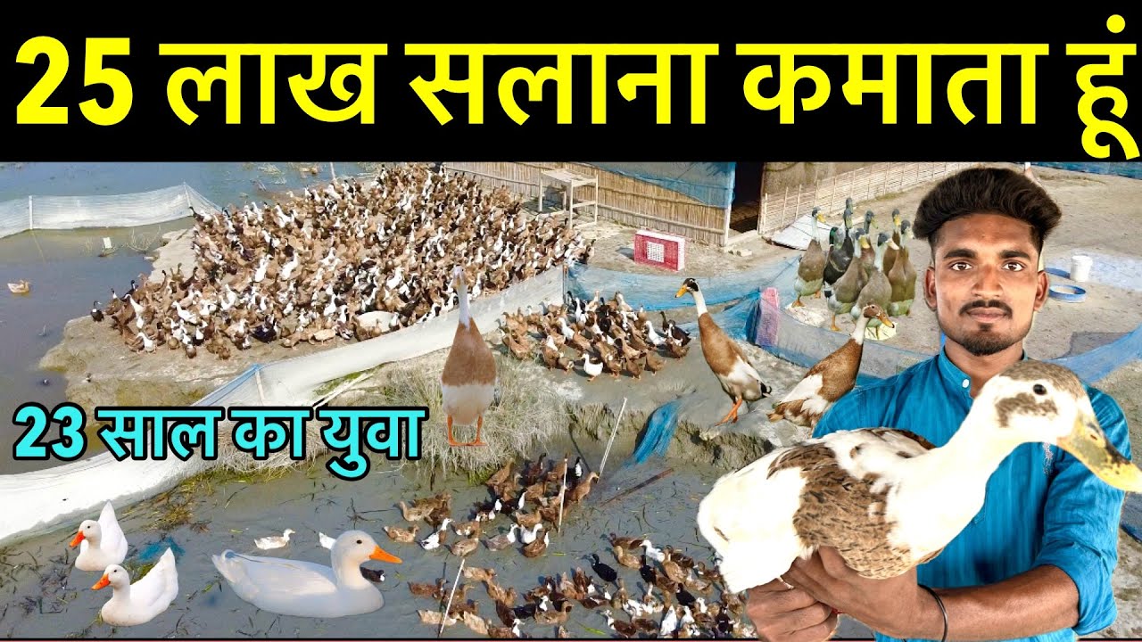 Duck farming॥Duck farming business॥Duck farming business plan॥Batak ...