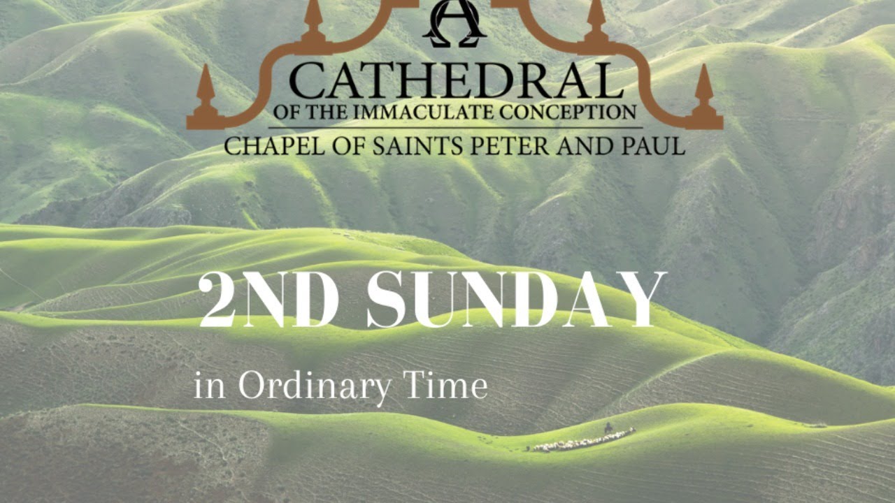 2nd Sunday in Ordinary Time at the Cathedral of the Immaculate ...