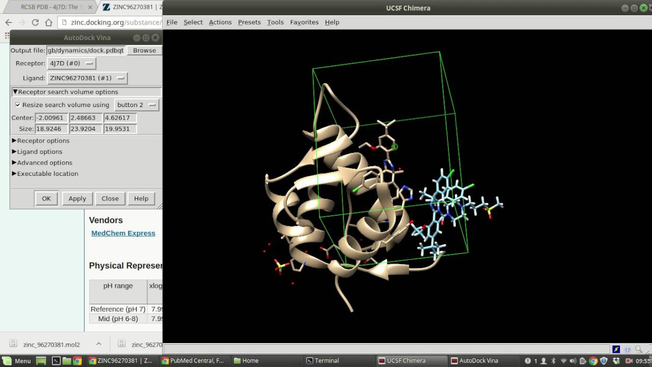 01 - Chimera docking fail vina - YouTube