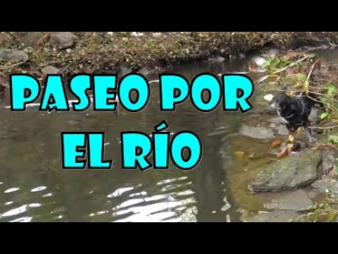 Andamos por el río con Paquito - YouTube