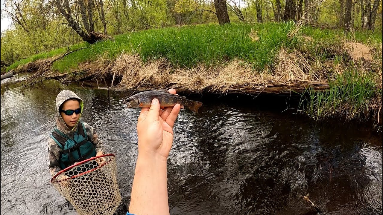 May 2025 Driftless Trout Fishing - Part 17 - YouTube