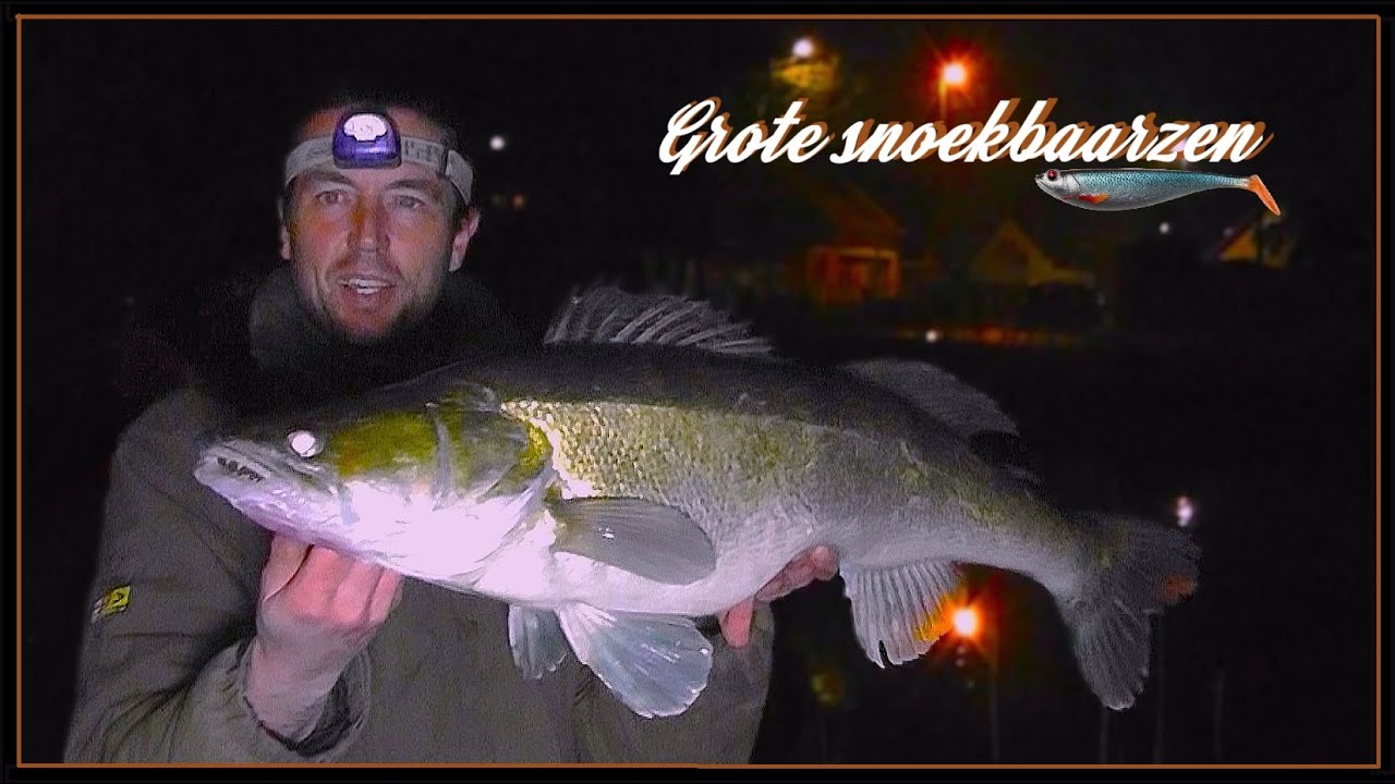 SNOEKBAARZEN vanaf de kant in maart 2024 - Vissen op grote snoekbaars ...