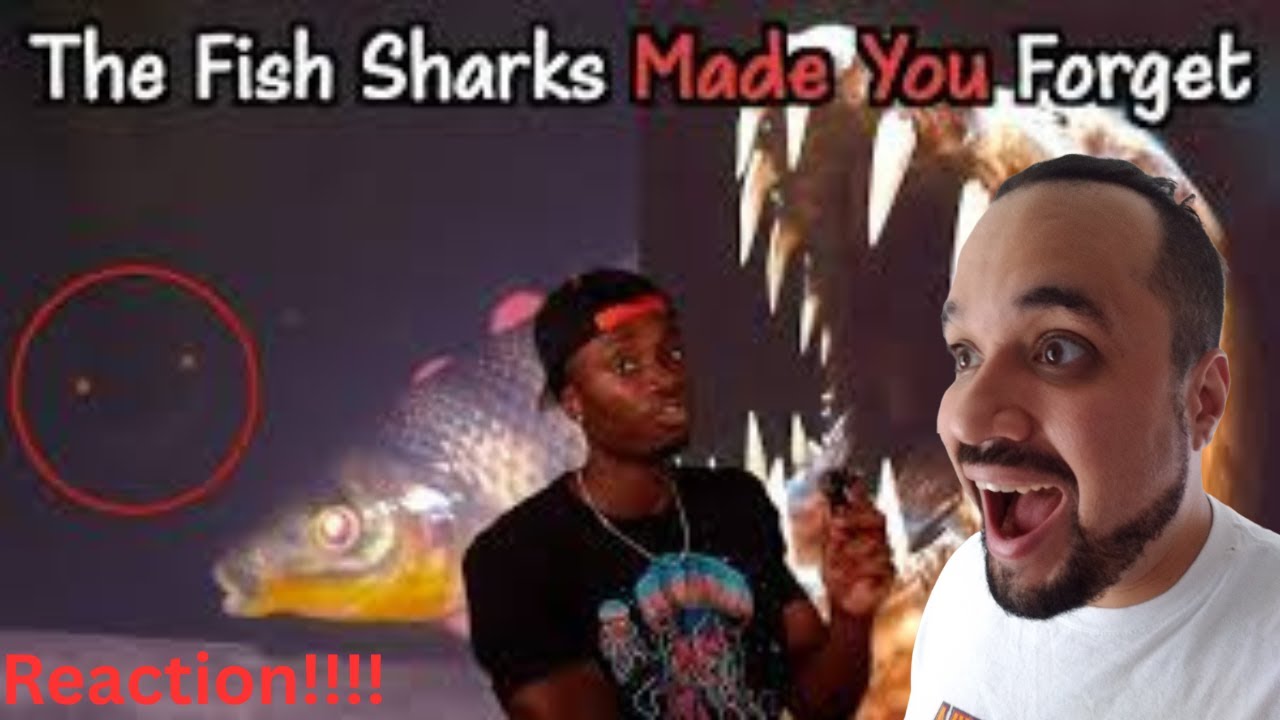 Why These Fish Belong in a Horror Movie More Than Sharks reaction - YouTube